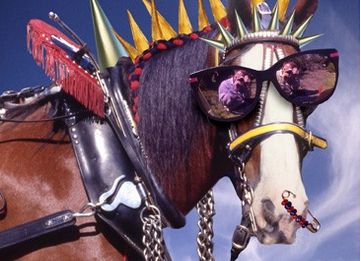 Cheval fou - 716lavie